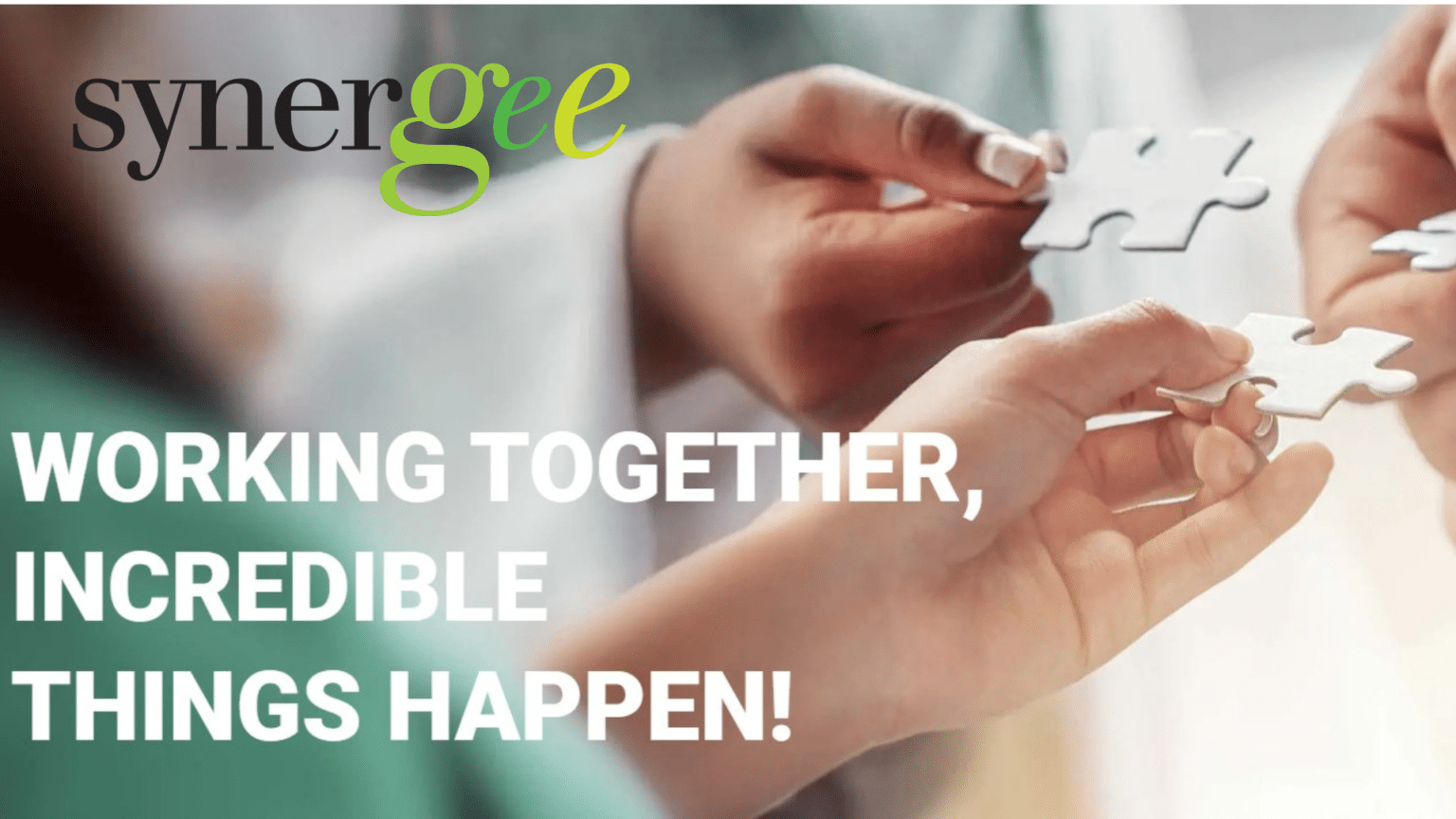 The Synergee Story: Who We Are and Why We Do What We Do | Total ...